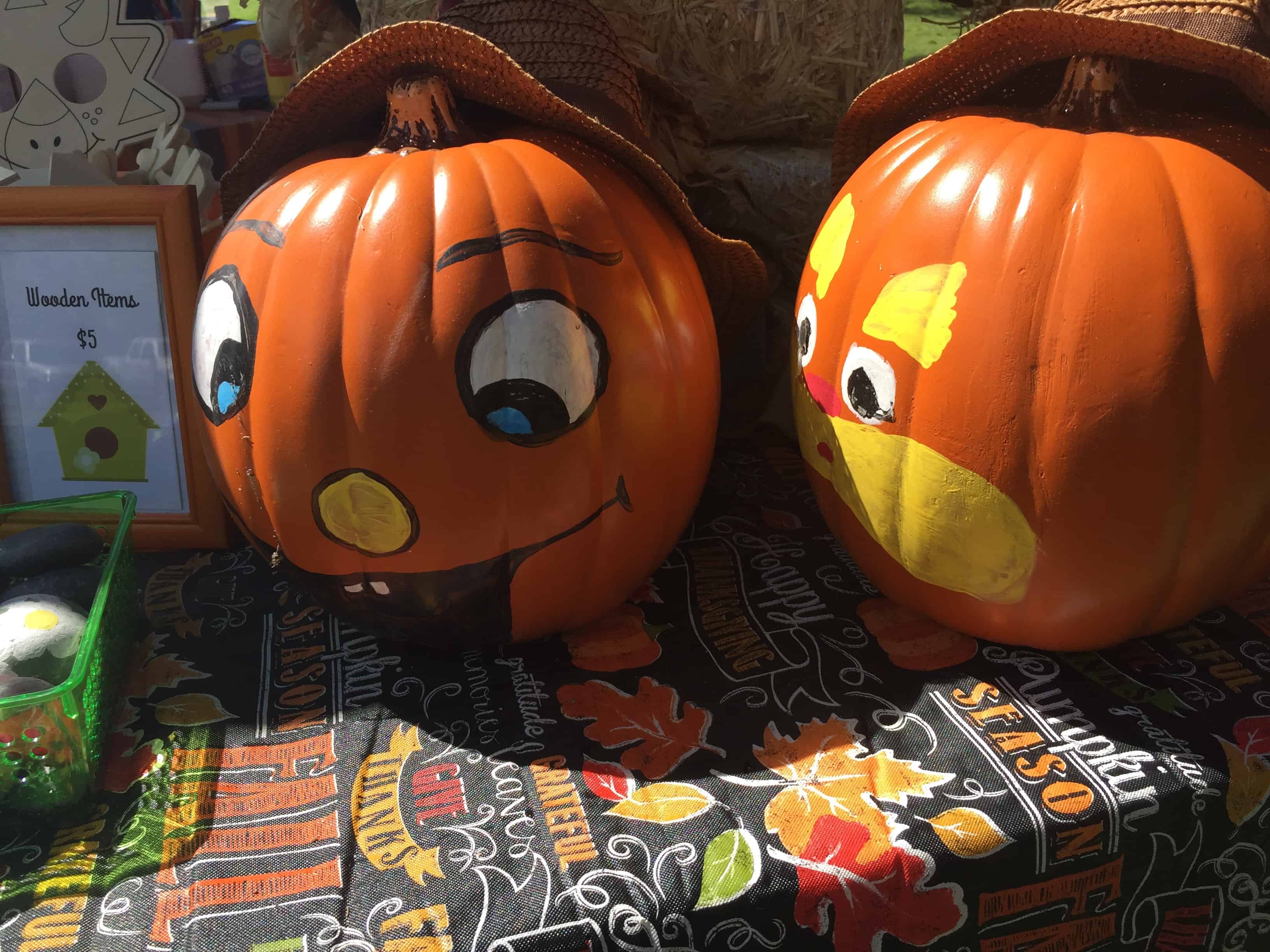 Fox Squirrel Corn Maze - Stylish Cravings