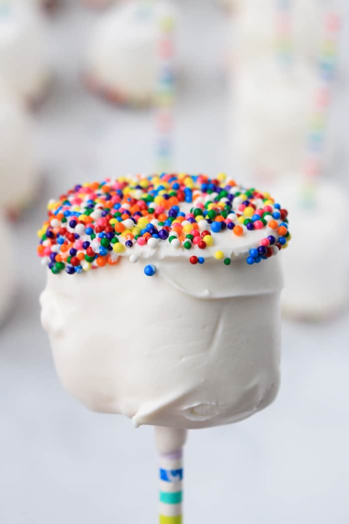 Sprinkle Marshmallow Pops - Stylish Cravings Easy To Make Recipes