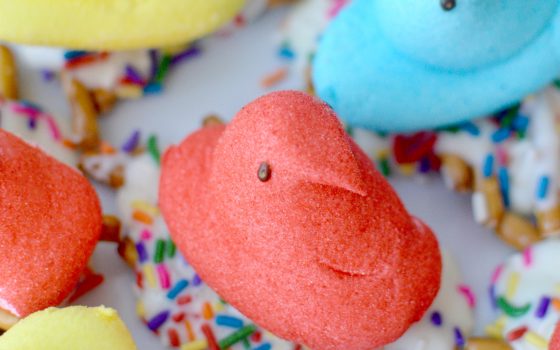 Easy Shrimp Fried Rice Recipe - Stylish Cravings Recipes