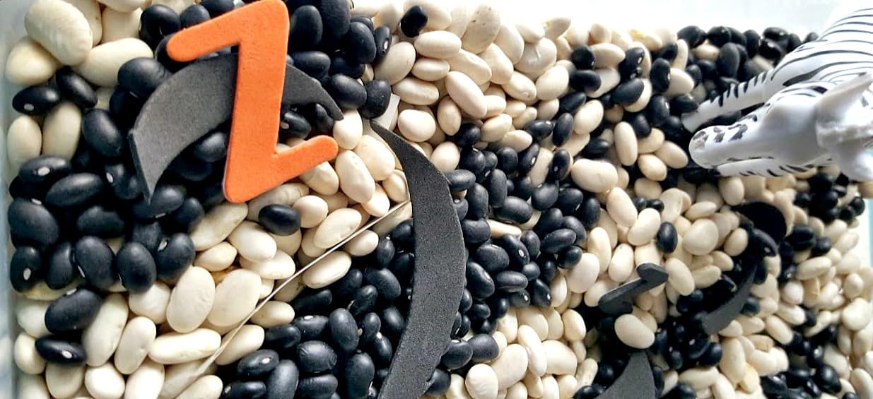 DIY Zebra Sensory Bin - Easy To Make Kids Crafts