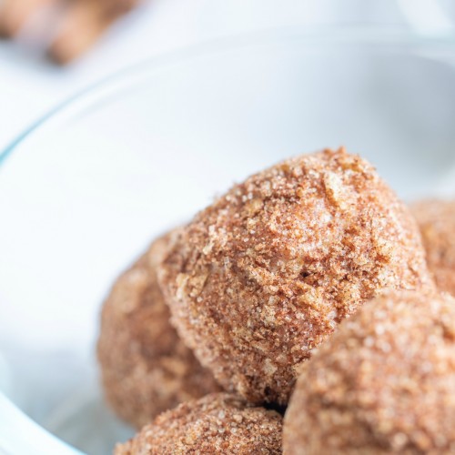Keto Churro Fat Bombs Recipe | Low-Carb No Bake Treat